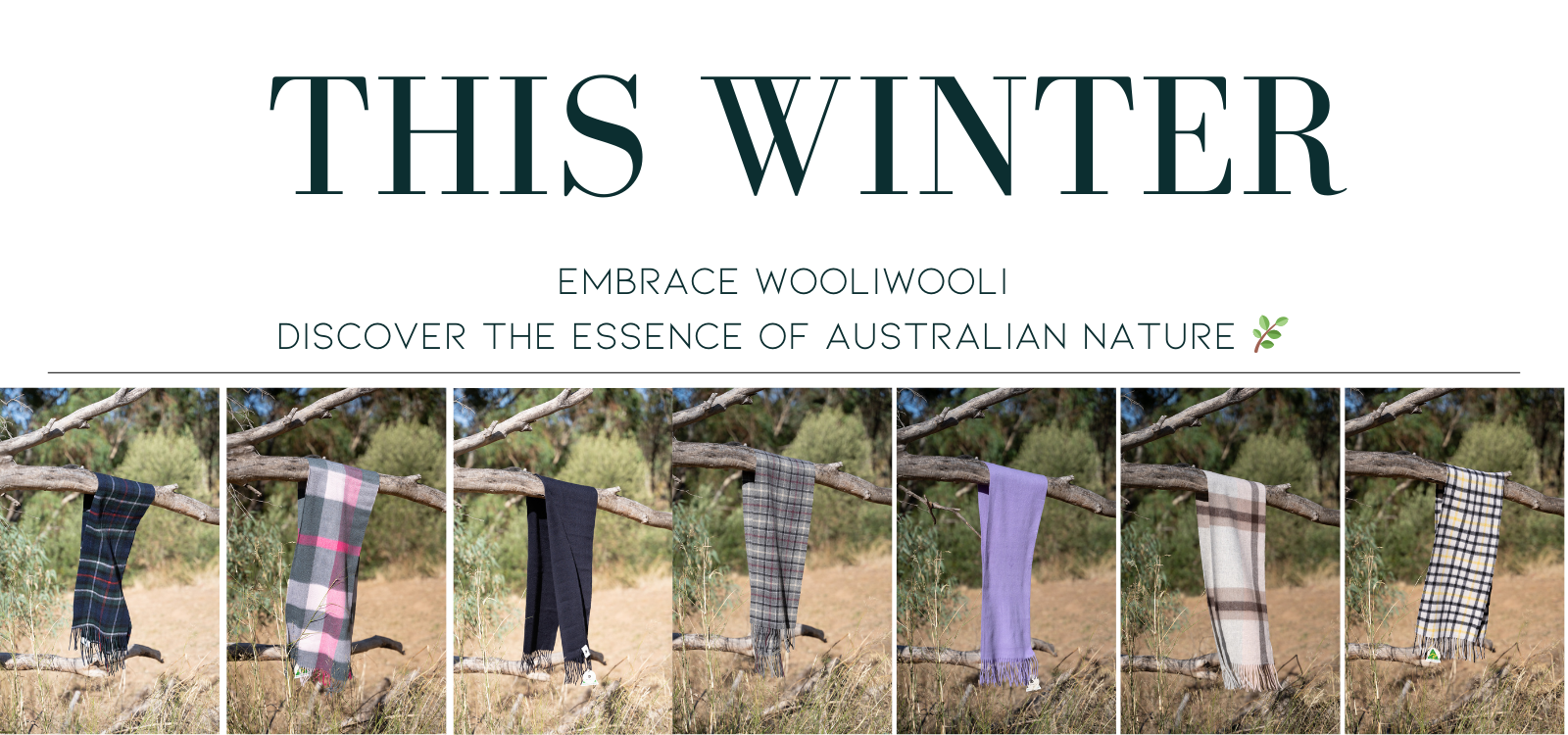 Australian Merino Wool Scarves | Premium Wool Scarves | Unique Style ...