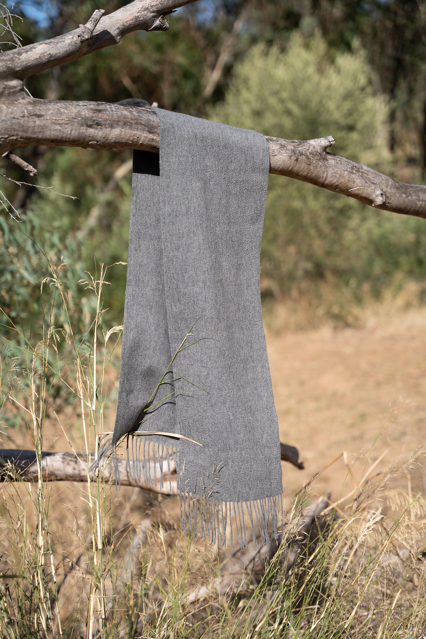 Products – WooliWooli