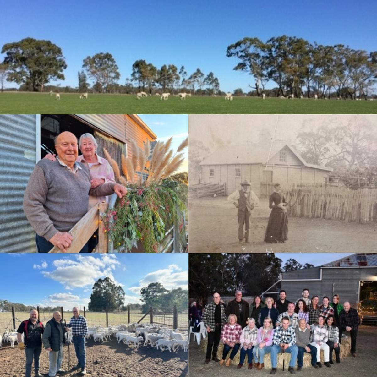 Australian Merino Wool Scarves | Premium Wool Scarves | Unique Style ...